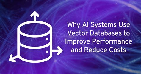 Why Ai Systems Use Vector Databases To Improve Performance And Reduce Costs Akamai