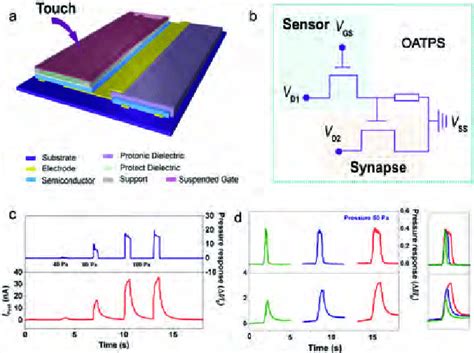 A Schematic Diagram Of An Organic Transistor Based Tactileperception Download Scientific