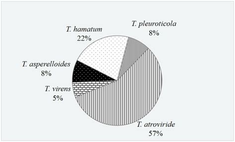 Beneficial And Biocontrol Effects Of Trichoderma Atroviride A Dominant Species In White Birch