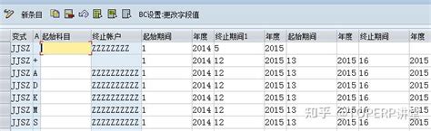 Sap Fi科目表前台操作和后台配置详解 知乎