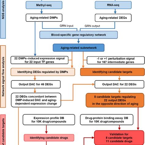 Schematic Workflow Of Multi Dimensional Investigation For Identifying Download Scientific
