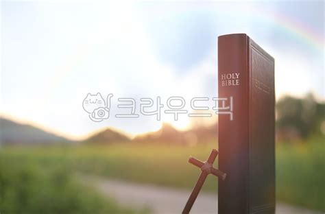성경책 십자가 무지개 종교 기도 사진 이미지 일러스트 캘리그라피 Artin작가
