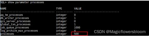 oracle错误码ora 12516解决方案 csdn博客