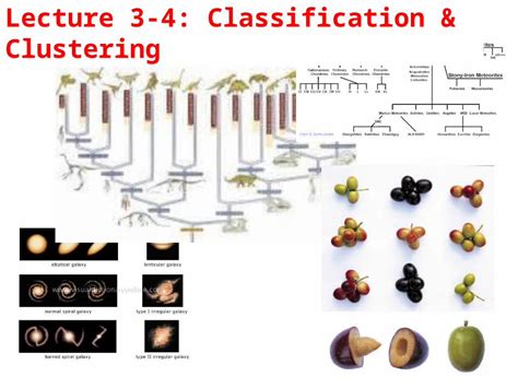 Pptx Lecture 3 4 Classification And Clustering Dokumen Tips