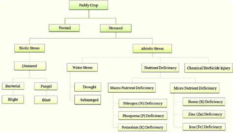 Paddy Crop Stress Classification Tree Download Scientific Diagram