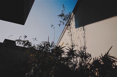 «zhejiang University Hd Wallpapers