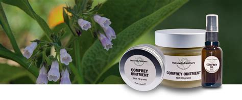 Organic Comfrey Cream Australia Comfrey Ointment Nature By Feathers