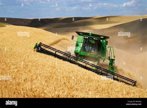 A John Deere Combine Harvests Soft White Wheat On Rolling Hillside
