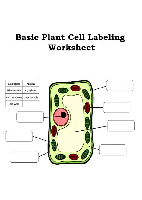 Label The Plant Cell Worksheets Free Image And Pdf Printables