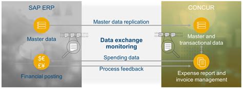 Simplify Your Processes With Native Sap And Sap Concur Integration