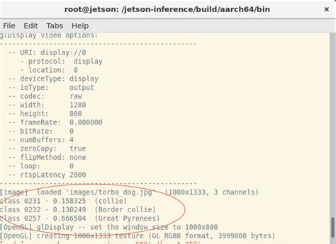 Jetson Nano Object Detection And Image Classification Nerc
