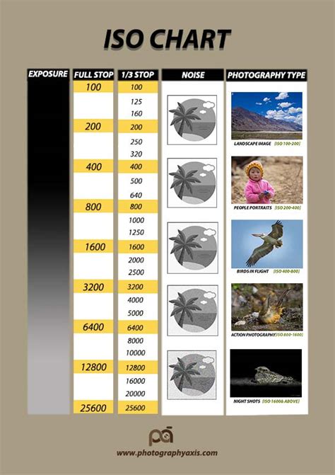 ISO Chart Image Noise Chart How To Use It PhotographyAxis