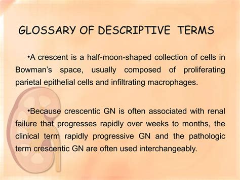 Pathogenesis Of Glomerulonephritis Ppt
