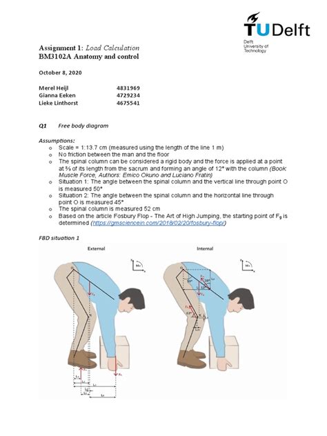 Load Calculation Assignment Pdf