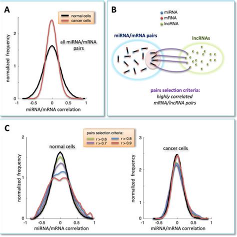 Sensitivity Analysis Heat Map Representing The Sensitivity Correlation Download Scientific