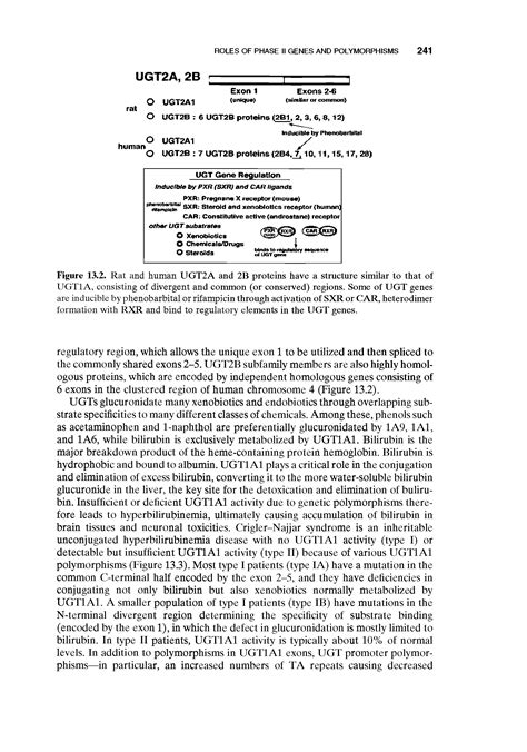 Rifampicin Structure Big Chemical Encyclopedia