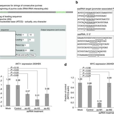 Algorithm Designed Small Noncoding Antisense Rnas Sasrnas And Download Scientific Diagram
