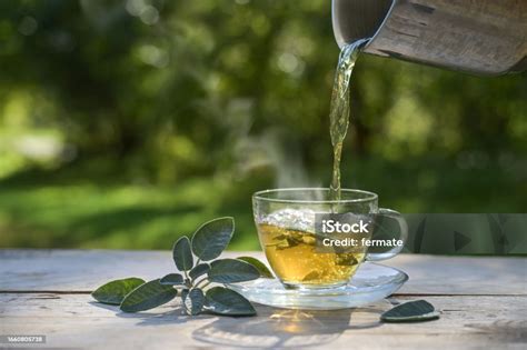 세이지 잎 건강한 허브 차 및 기침 인후통 및 소화 장애 짙은 녹색 배경 복사 공간에 대한 가정 요법이 있는 유리 컵에 뜨거운 물을 붓습니다 차 뜨거운 음료에 대한 스톡