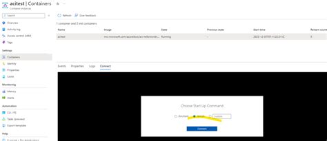 How To Connect Azure Container Instance Into Another Grouped Vm