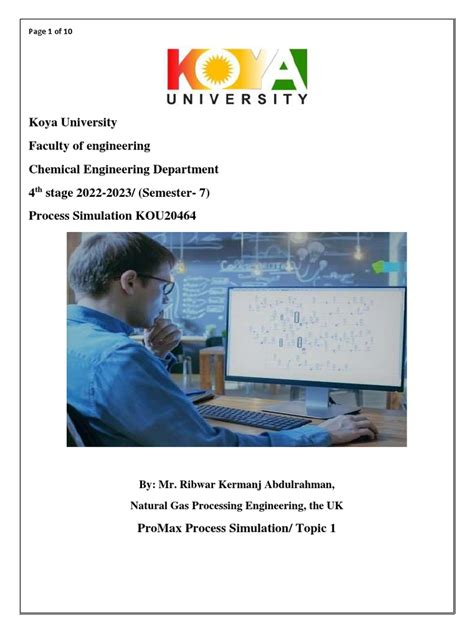 Topic 1 Pdf Simulation Mathematical Optimization