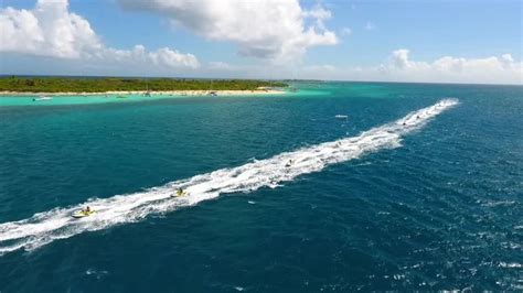 Imágenes De Icaco Descubre Bancos De Fotos Ilustraciones Vectores Y Vídeos De 37 Adobe Stock
