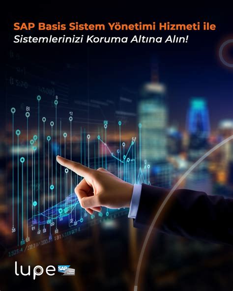 Sap Sapbasis İşsürekliliği Verigüvenliği Dijitaldönüşüm Lupe Consulting