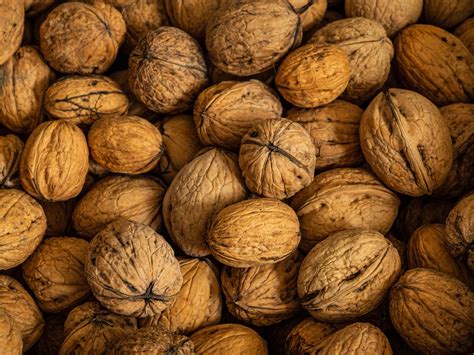 Rectangular Vibrating Screen Separators Uses And