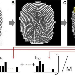 Procedure For LCP A Input B Filtered Image C LCP Image D Download Scientific