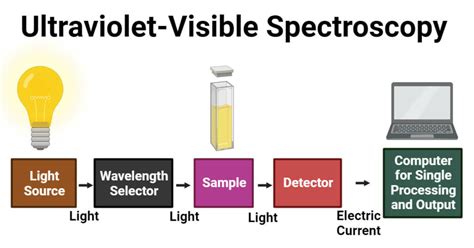 Working Principle Of Uv Visible Spectrophotometer At Jeffrey Boutte Blog