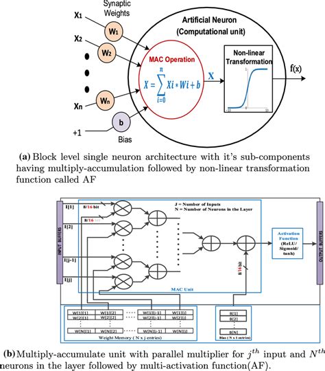 Single Neuron Architecture With Internal Computational Elements Download Scientific Diagram