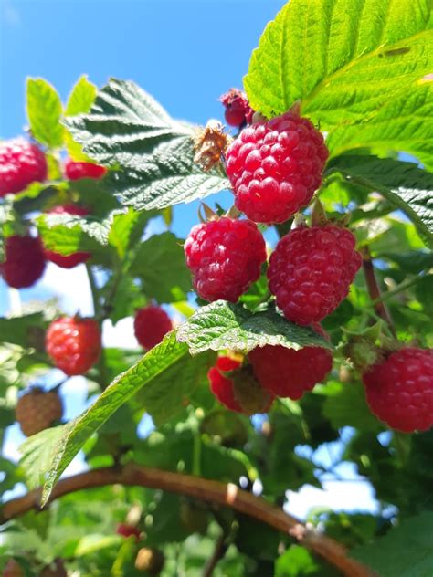 ЕвроОбувь - ЕвроОбувь added a new photo — in Севастополь,...