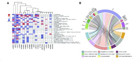 A Heatmap Indicating Top Scored 30 Pathways Enriched With The Download Scientific Diagram