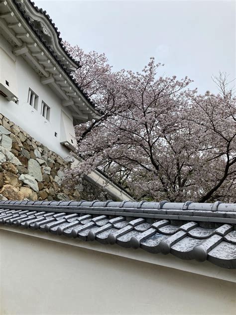 福岡親善大使（福岡市民の祭り振興会） Added A New Photo 福岡親善大使（福岡市民の祭り振興会）