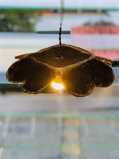 Bio Degradable Luminaire 4 Steps Instructables