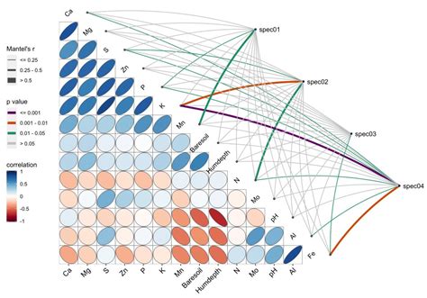 Pytorch 变对角矩阵ggcor 相关系数矩阵可视化ymmedu的博客 Csdn博客 Pytorch 变对角矩阵ggcor 相关系数矩阵可视化ymmedu的博客 Csdn博客