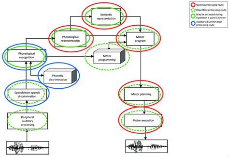 Simple Speech Processing Model With Processing Routes Indicated For