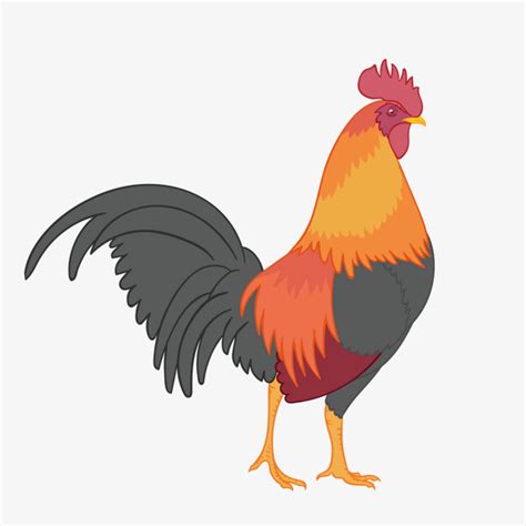 Big Cock Download Telegraph