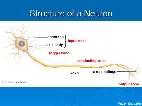 Fig 34 1 P Ppt Download