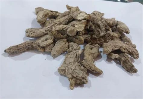 Whole Dry Ginger At ₹ 180 Kg Natural Spices In Chennai Id 2855442069791