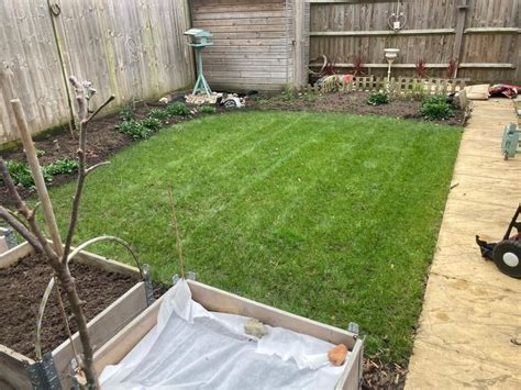 The Best Grass For Lawns Perennial Ryegrass