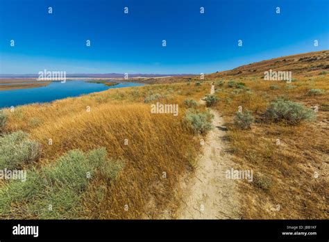 Trail Leading To White Bluffs In Hanford Reach National Monument