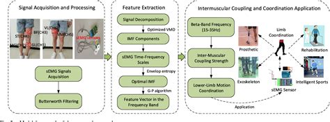 Figure 2 From A Novel Lower Limb Coordination Assessment Scheme Using Multi Scale Nonlinear