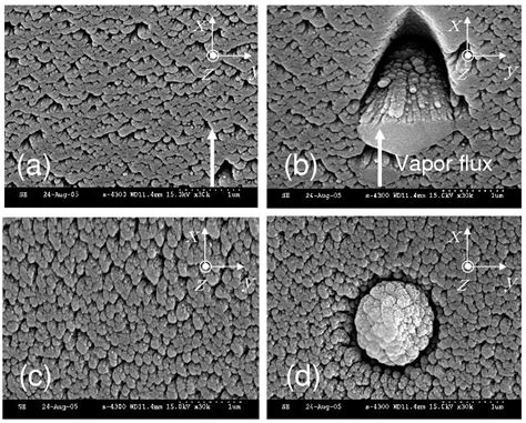 surface morphologies of tio2 films a surface figure of the tilted