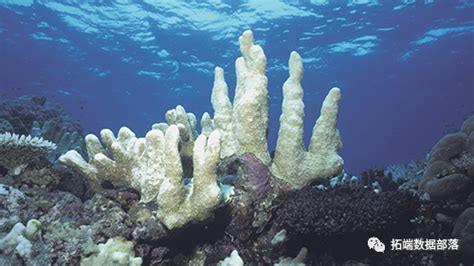 R语言混合效应逻辑回归（mixed Effects Logistic）模型分析肺癌数据 Csdn博客