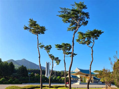 대전 현충원의 가을