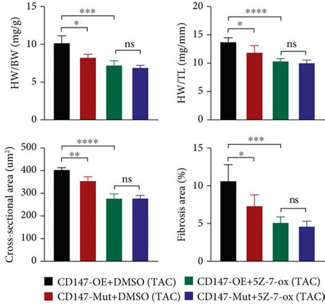 Glycosylated Cd147 Promoted Pathological Cardiac Hypertrophy That Was
