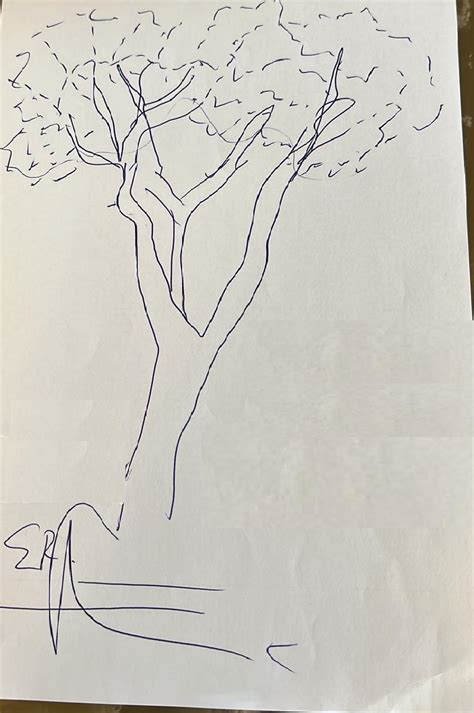 Rama Arkitekti I Ndërtimit Dhe Prishjes Së “prestige Resort” Vizita E 6 Viteve Më Parë Dha