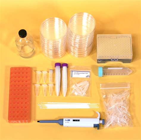 Diy Crispr Kit