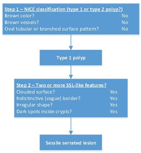 Wasp Classification Optical Diagnosis Of Polyps Endoscopy Campus Wasp Classification Optical Diagnosis Of Polyps Endoscopy Campus
