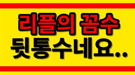 리플 이거 잘못하면 조정이 하락으로 변할 수도 있는 문제에요꼭 보시고 대응하세요 Youtube